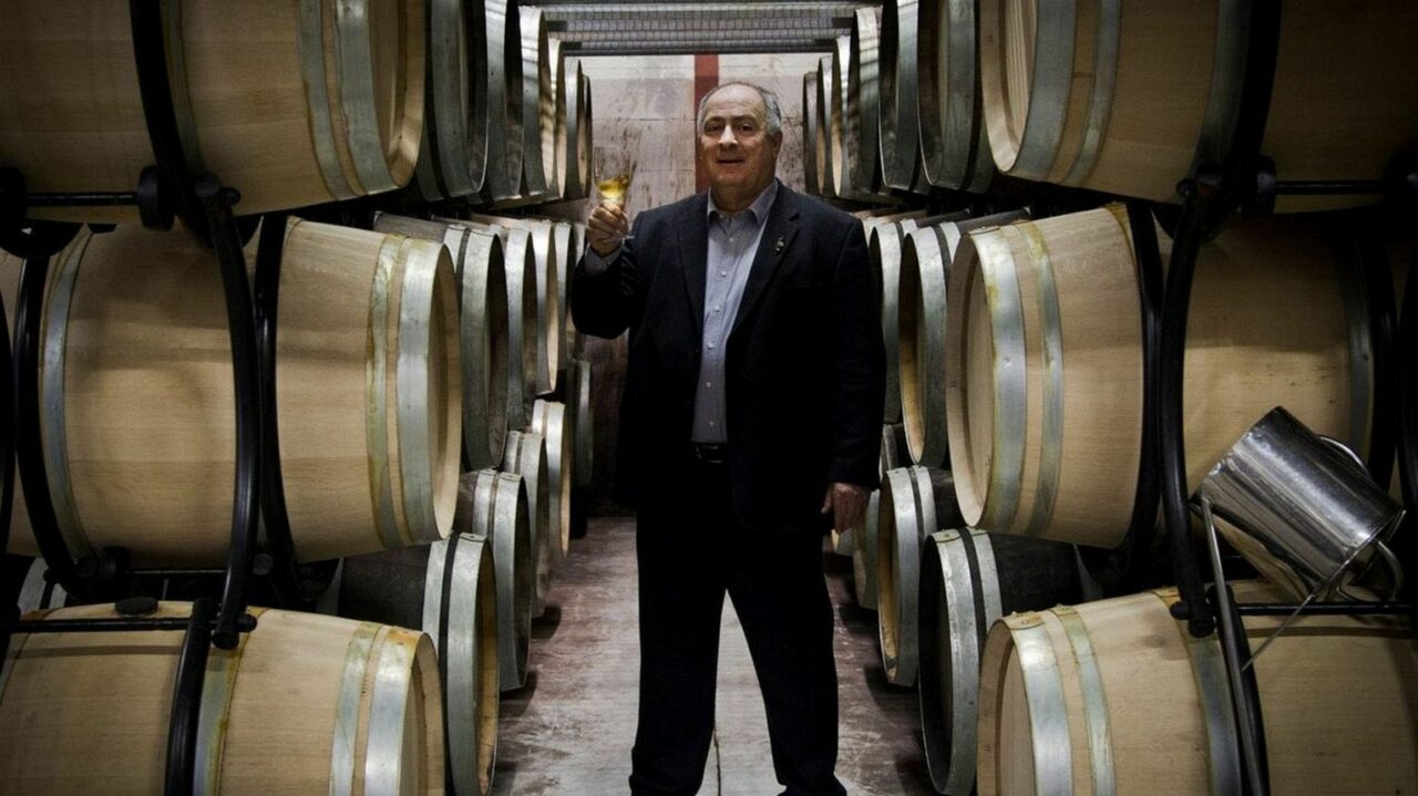 La vigne au Cellier 2023 - Le Cellier des Docks : Caviste à Biarritz